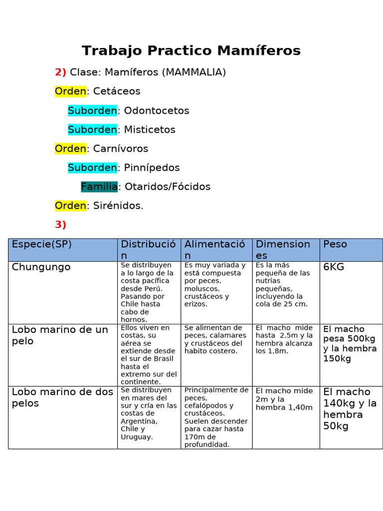 Trabajo Practico Mamíferos Jere | PDF | Mamíferos marinos | Cetáceos