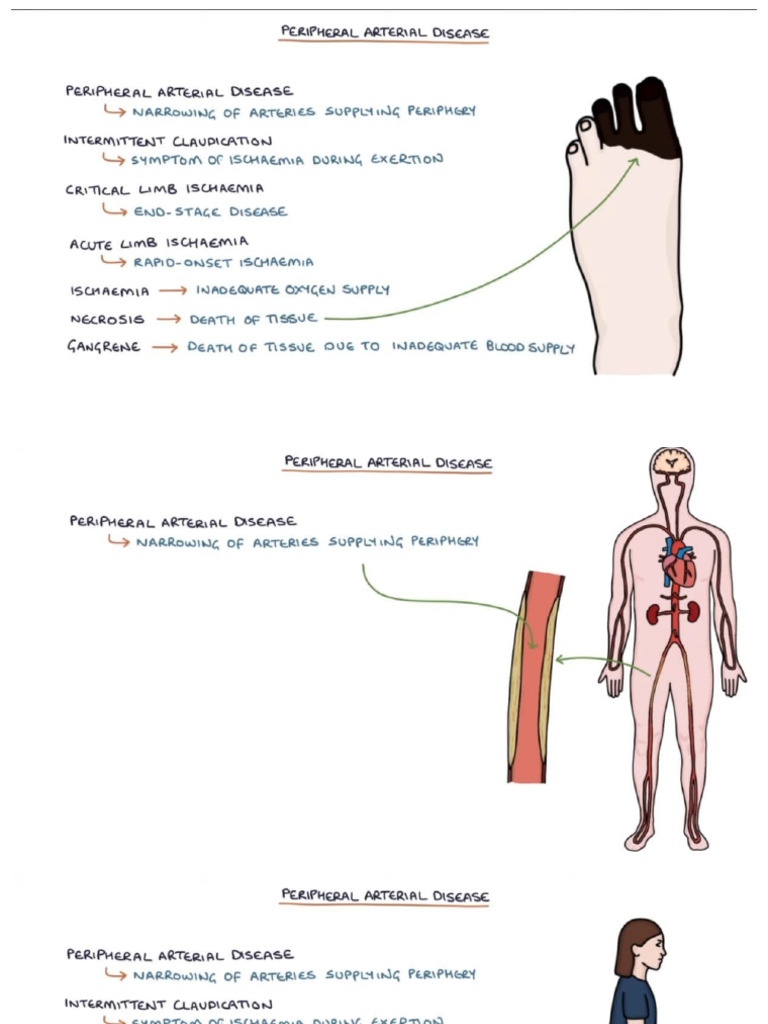 Poad | PDF