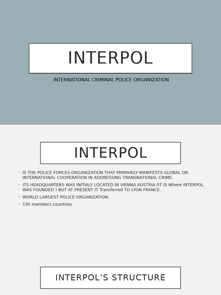 Interpol Ian c. Dela Cruz | PDF | National Security | Government
