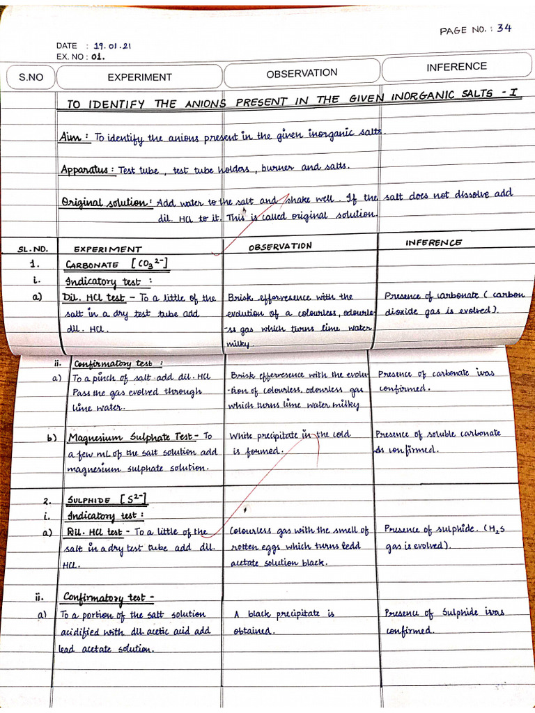 Salt Analysis Class 12 Record | PDF