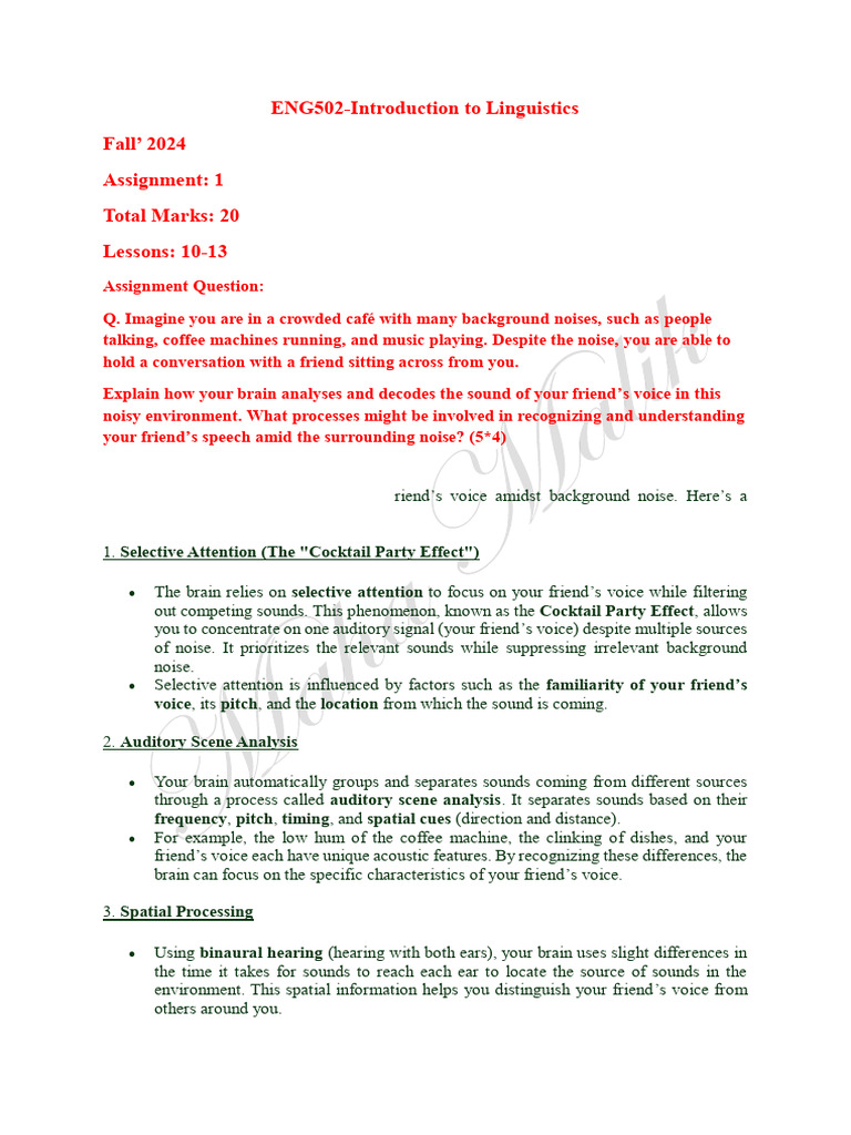 ENG502 Assignment Sample Solution | PDF | Sound | Hearing