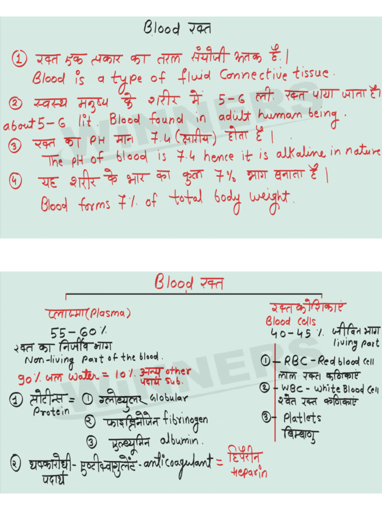 Blood | PDF