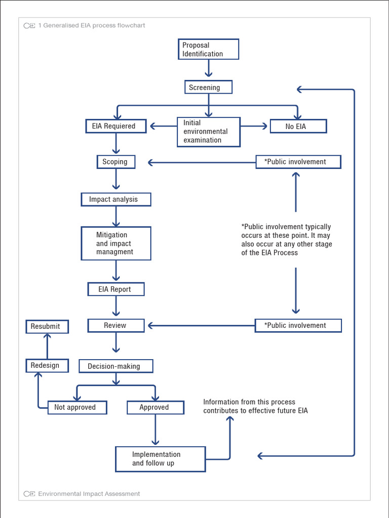 Generalised - EIA Flowchart | PDF