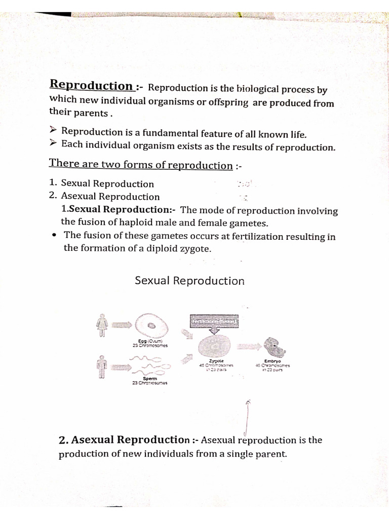 Unit - 1 Asexual Reproduction | PDF