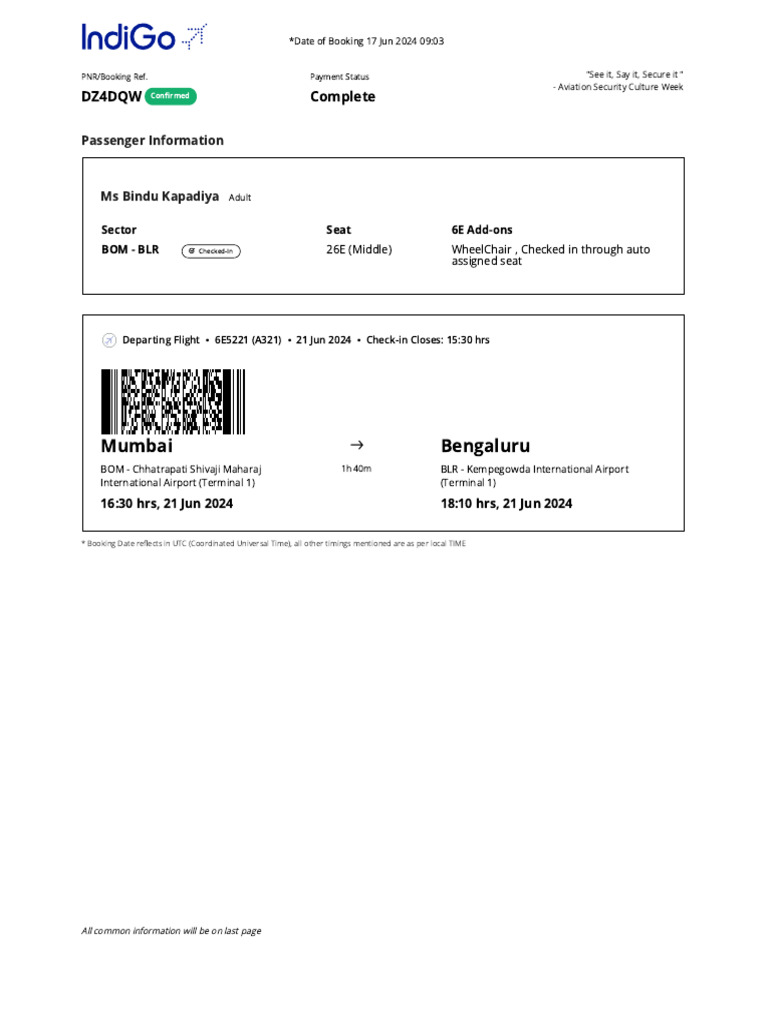 IndiGo Flight 6E5221 Details and Baggage | PDF | Value Added Tax | Airport