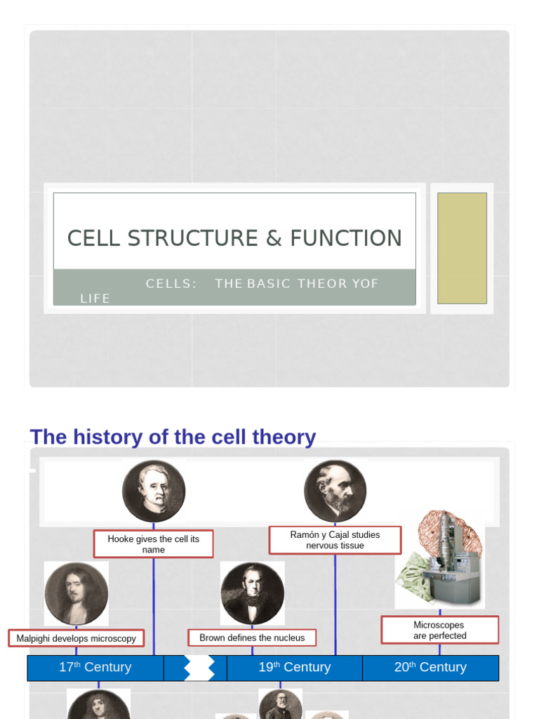 Cell Structure Function & Organelles Ppt | PDF | Cell (Biology) | Cytoplasm