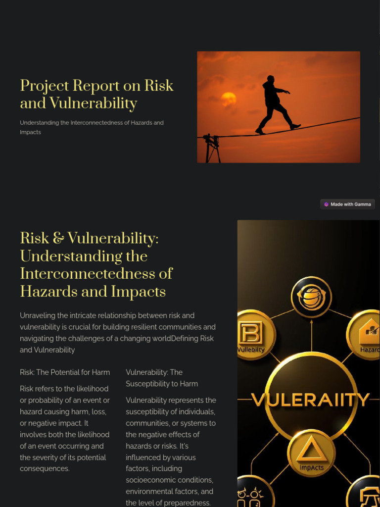 Project-Report-on-Risk-and-Vulnerability | PDF