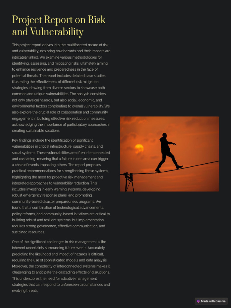 Project Report On Risk and Vulnerability | PDF