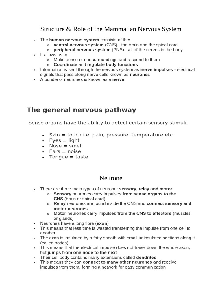 Coordination notes | PDF | Neuron | Synapse