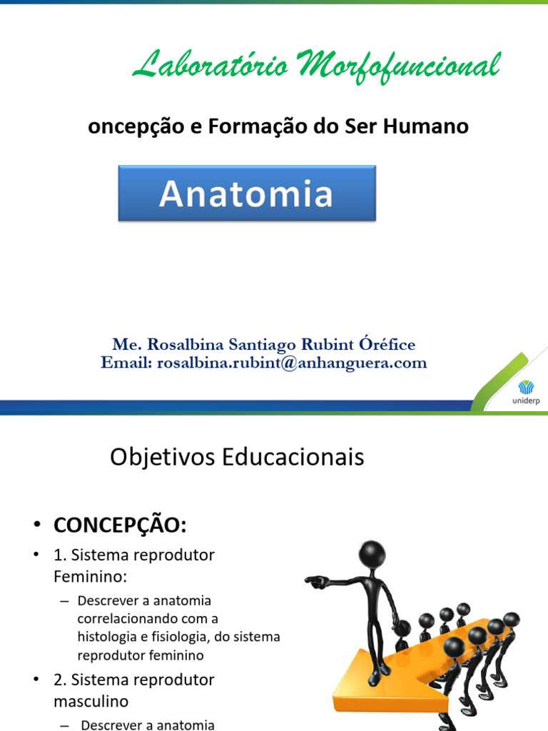 Anatomia Aula Complementar | PDF | Anatomia | Corpo humano