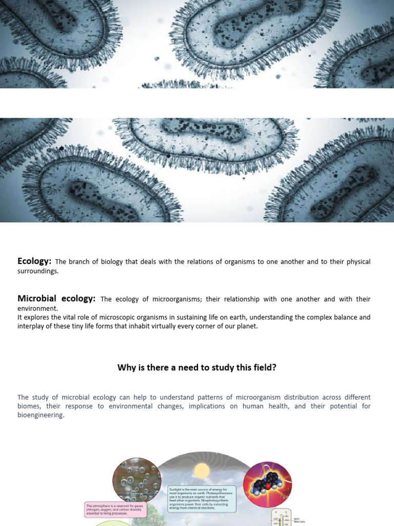 Microbial Ecology in Biotechnology Insights | PDF | Ecology | Microorganism