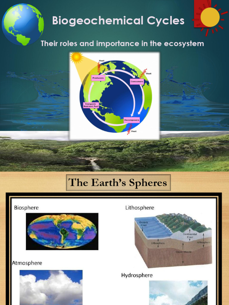 Final Biogeochemical Cycle Microbiology Ppt Pdf Nitrogen Sulfur