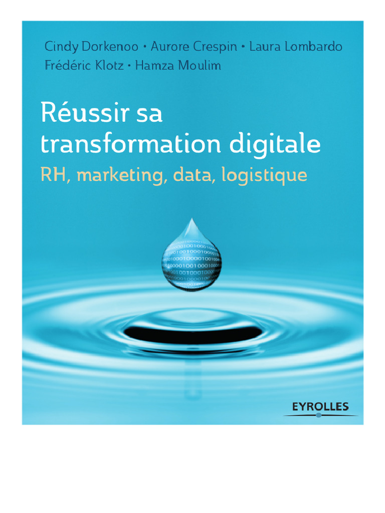 Reussir Sa Transformation Digitale | PDF