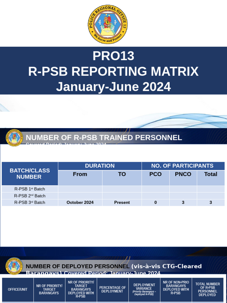 ADNPPO RPSB Reporting Matrix January June 2024 | PDF