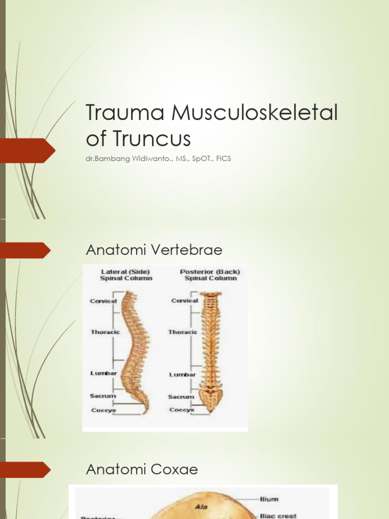 3.2 Pengantar Trauma Muskuloskeletal Truncus (BMW) | PDF