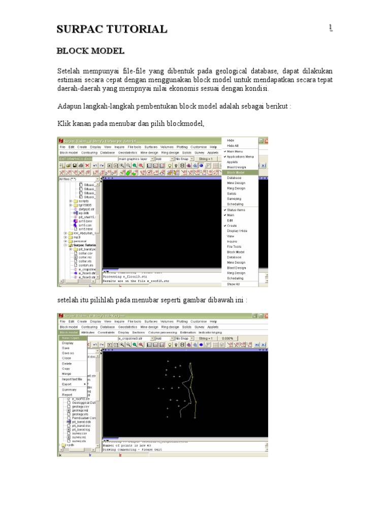 SURPAC BlockModel | PDF