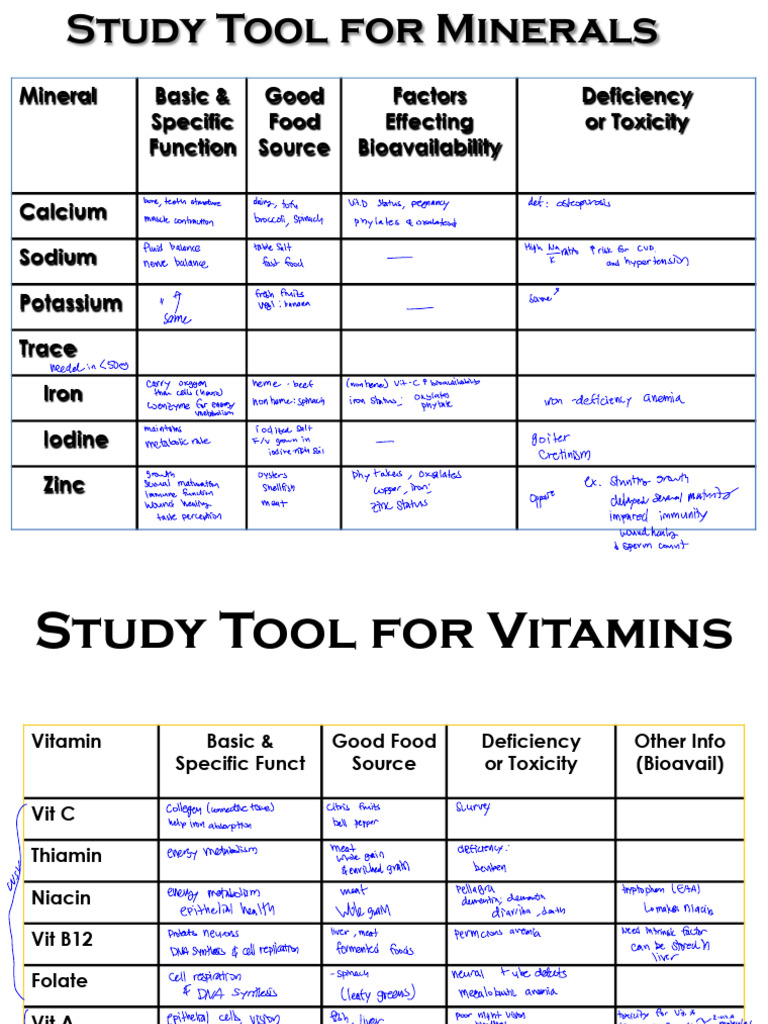 Essential Minerals and Vitamins Guide | PDF