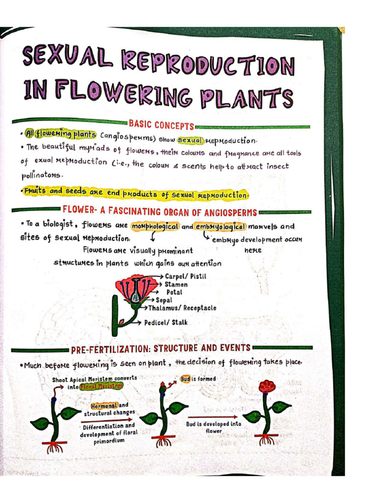 Class 12 Botany | PDF