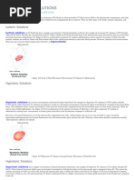 Types and Uses of IV Fluids | PDF | Intravenous Therapy | Dehydration
