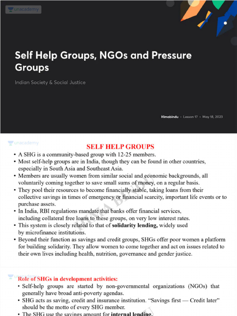 Self Help Groups NGOs and Pressur No Anno 1693126897833 | PDF