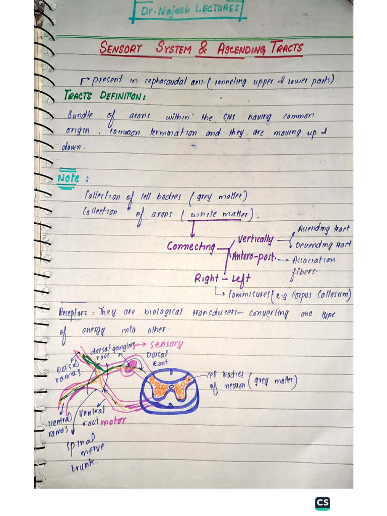 Tracts ~ By Rabiya.T | PDF