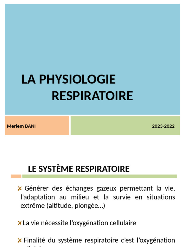 Physiologie Respiratoire : Système et Échanges Gazeux | PDF ...