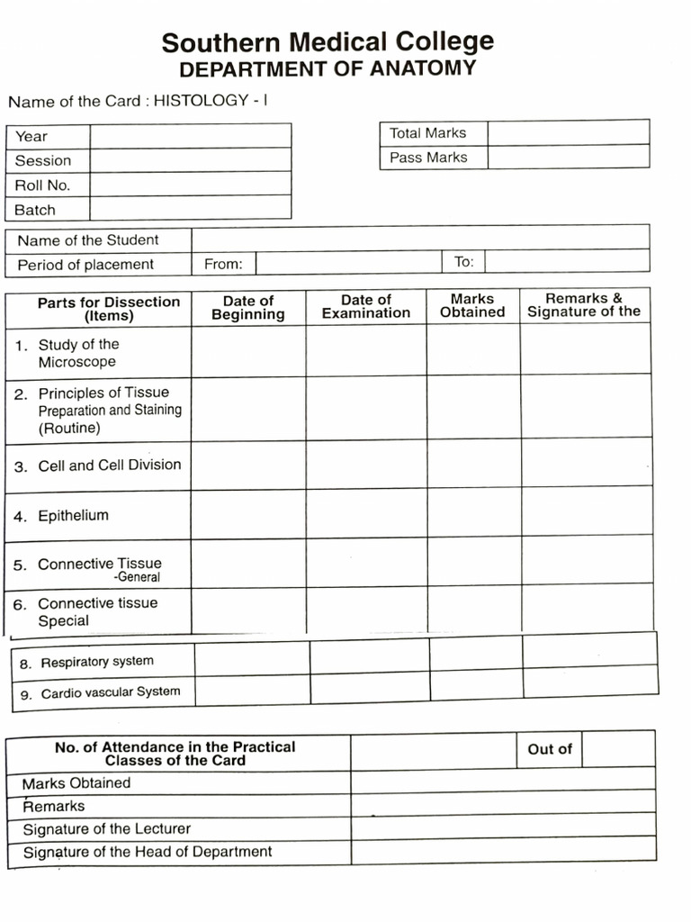 Histology Item Card | PDF