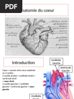 Anatomie et fonctions du péricarde | PDF | Aorte | Cœur