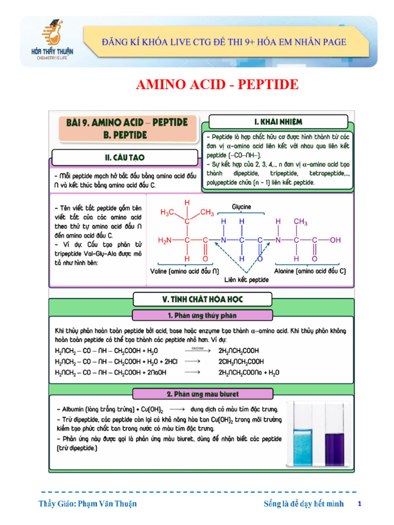 8. Bài tập tổng hợp Amino acid và Peptide PDF | PDF
