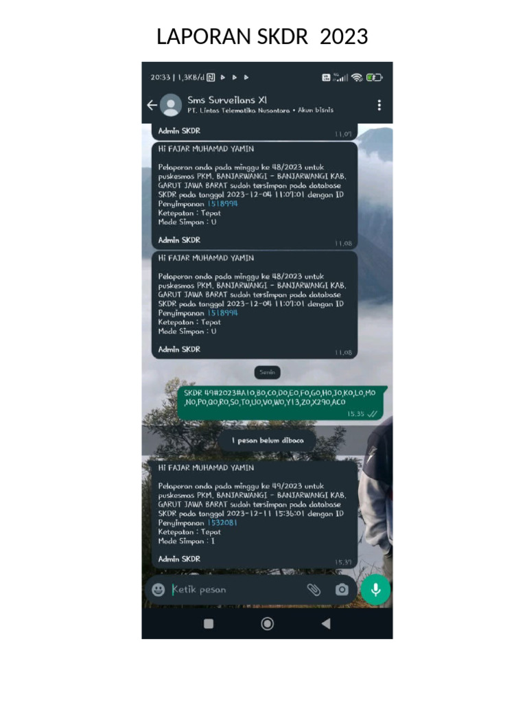 Laporan SKDR BJW | PDF