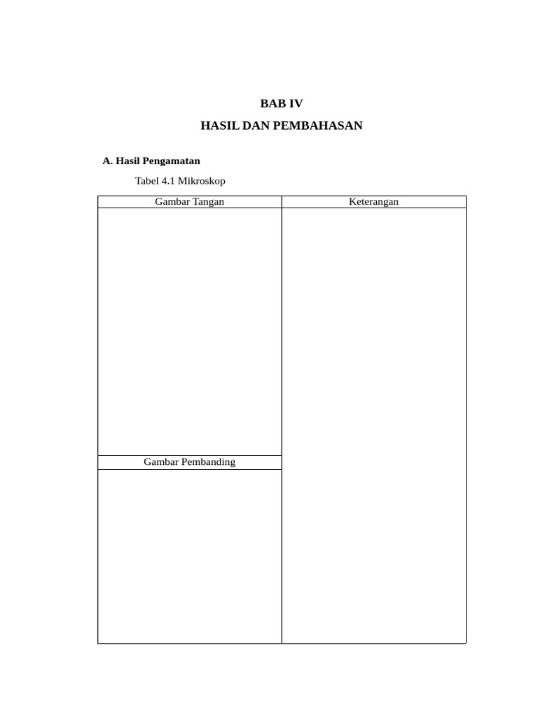 Contoh Laporan | PDF