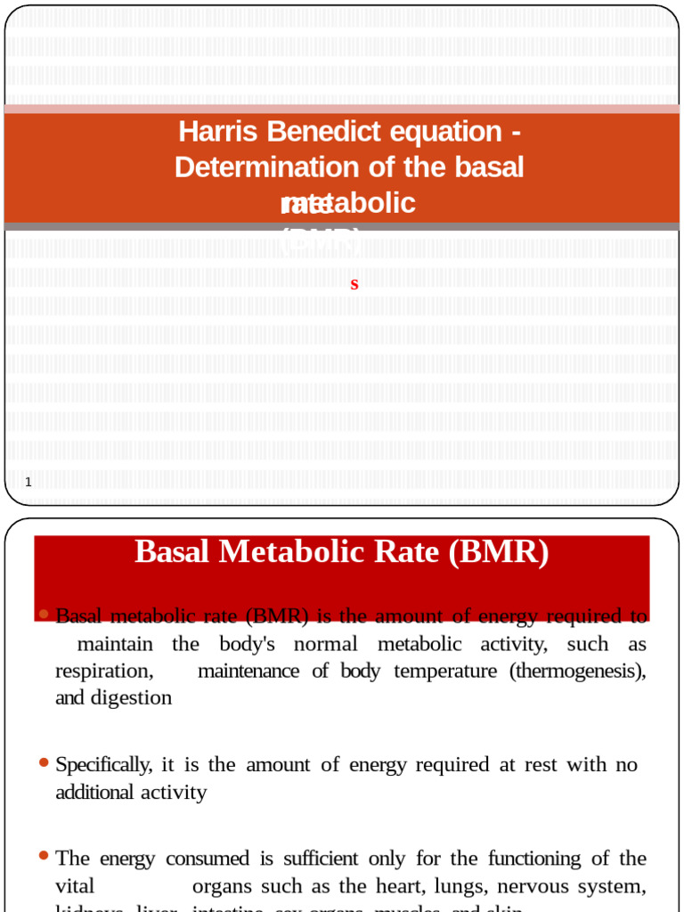 4. BMR | PDF | Physiology | Determinants Of Health
