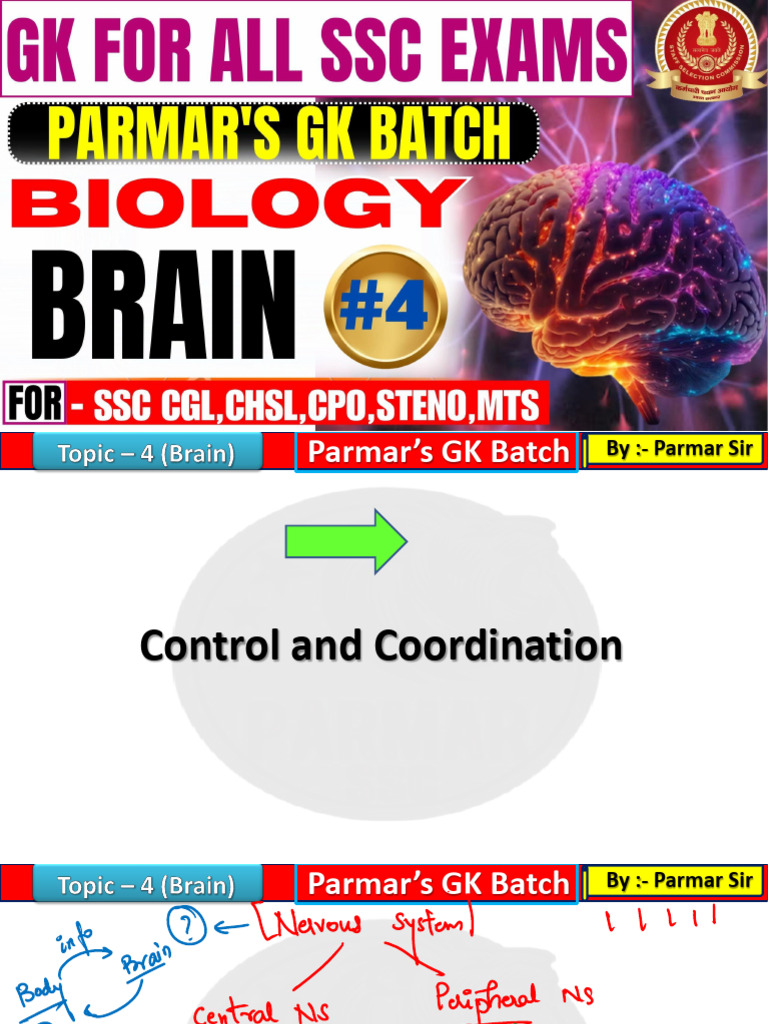 Brain For Parmar SSC GK Batch-1 | PDF | Animal Anatomy | Endocrine System