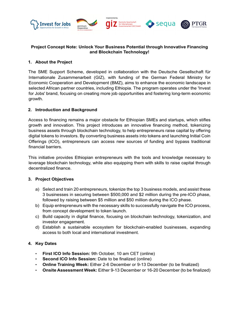 Project Concept Note Innovative Financing | PDF | Cryptocurrency ...