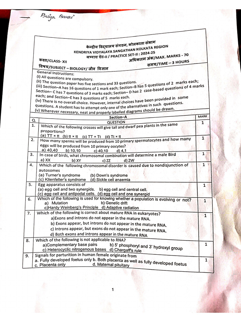 sample paper 2 | PDF