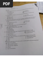 Exit Exam Model ABVM | PDF