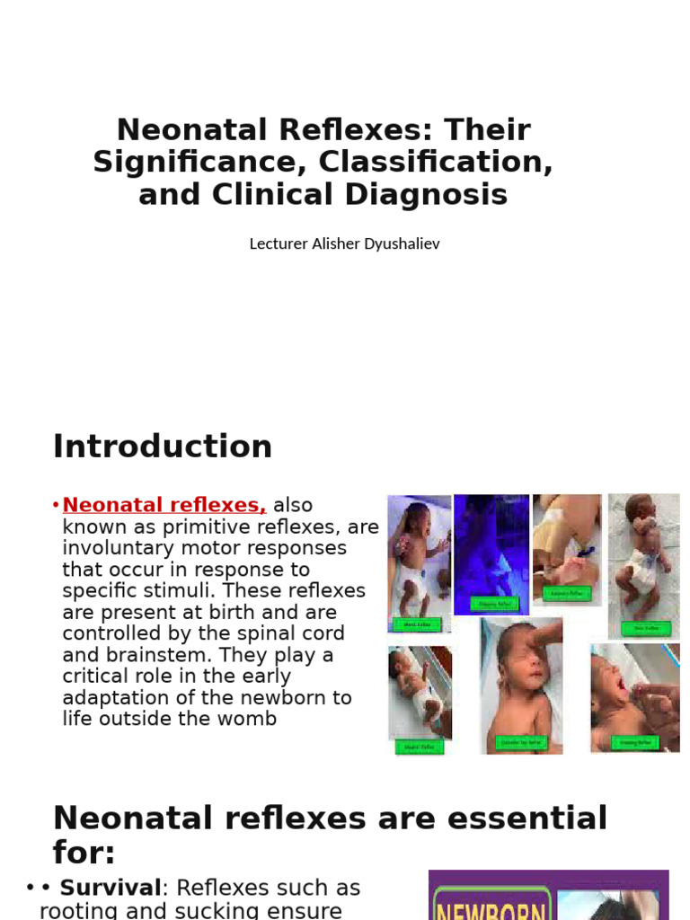 Neonatal Reflexes | PDF | Neurophysiology | Nervous System