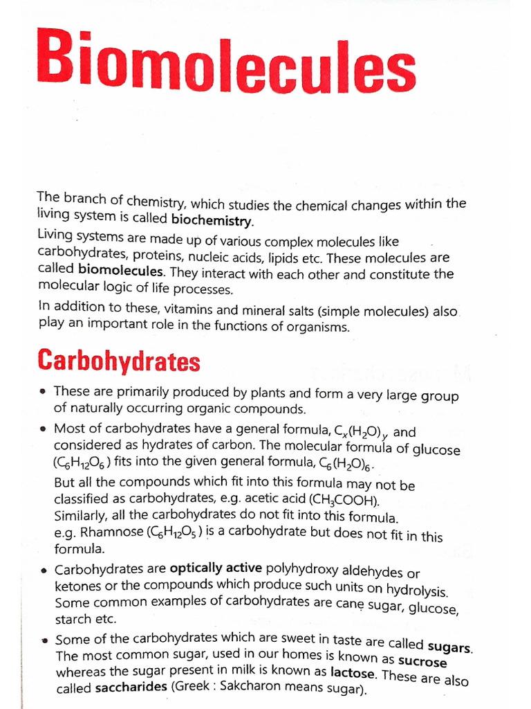 Biomolecules - Complete Revision | PDF