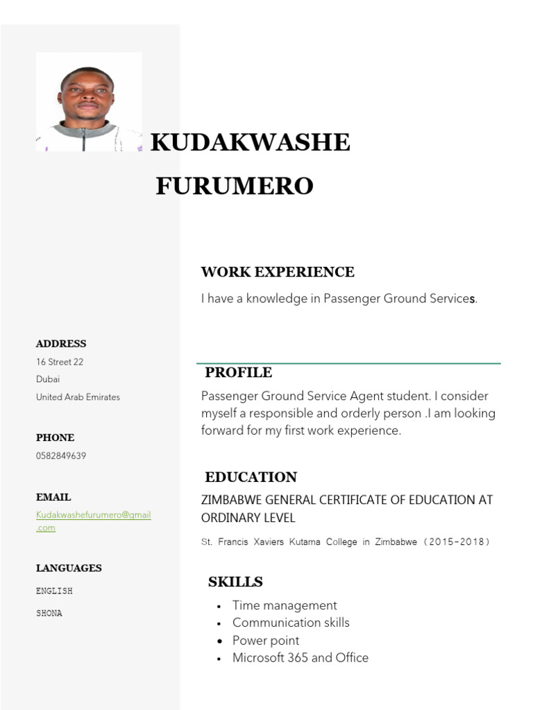 Kudakwashe Furumero: Work Experience | PDF