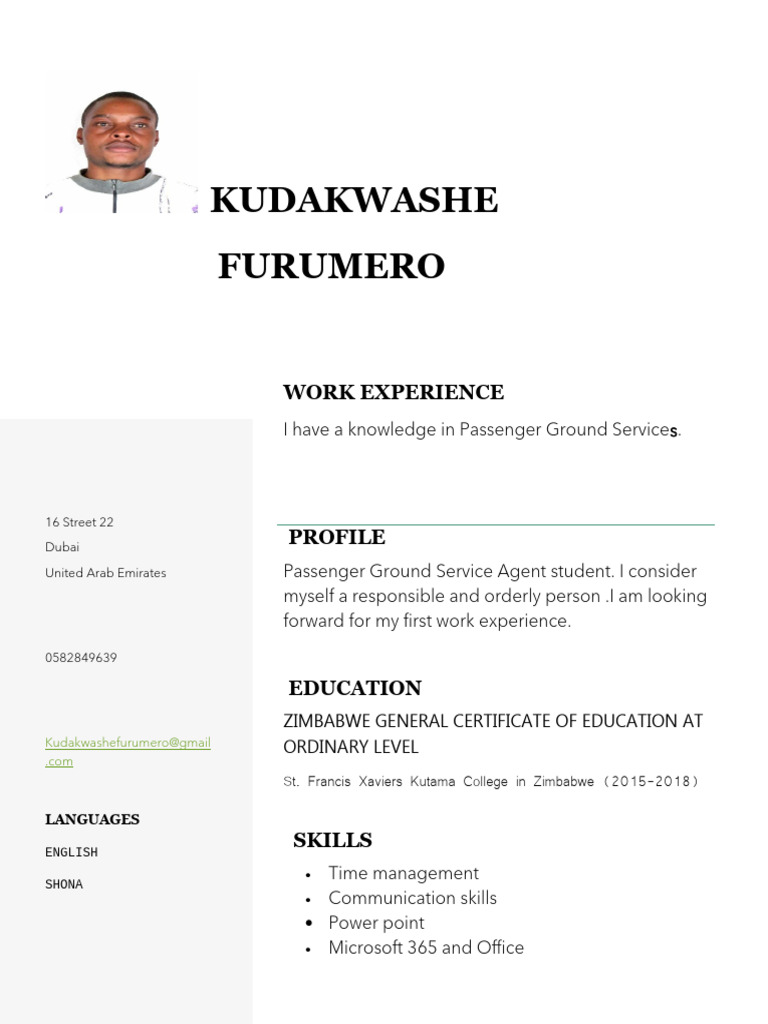 Kudakwashe Furumero: Work Experience | PDF