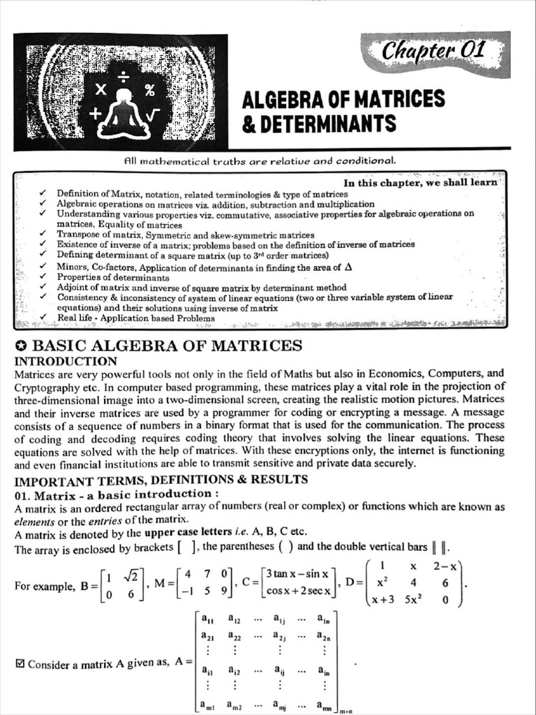MATRICES and DETERMINANTS CBSE | PDF