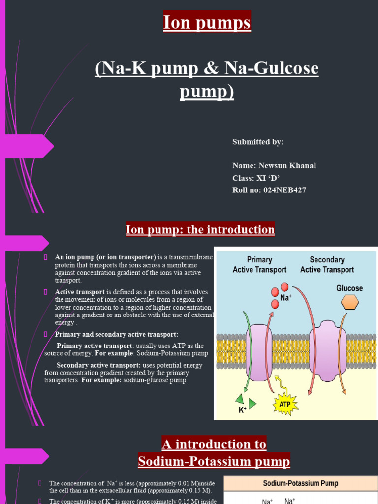 Ion-Potassium and Ion-Glucose Pump Presentation - Newsun Khanal | PDF | Adenosine Triphosphate ...