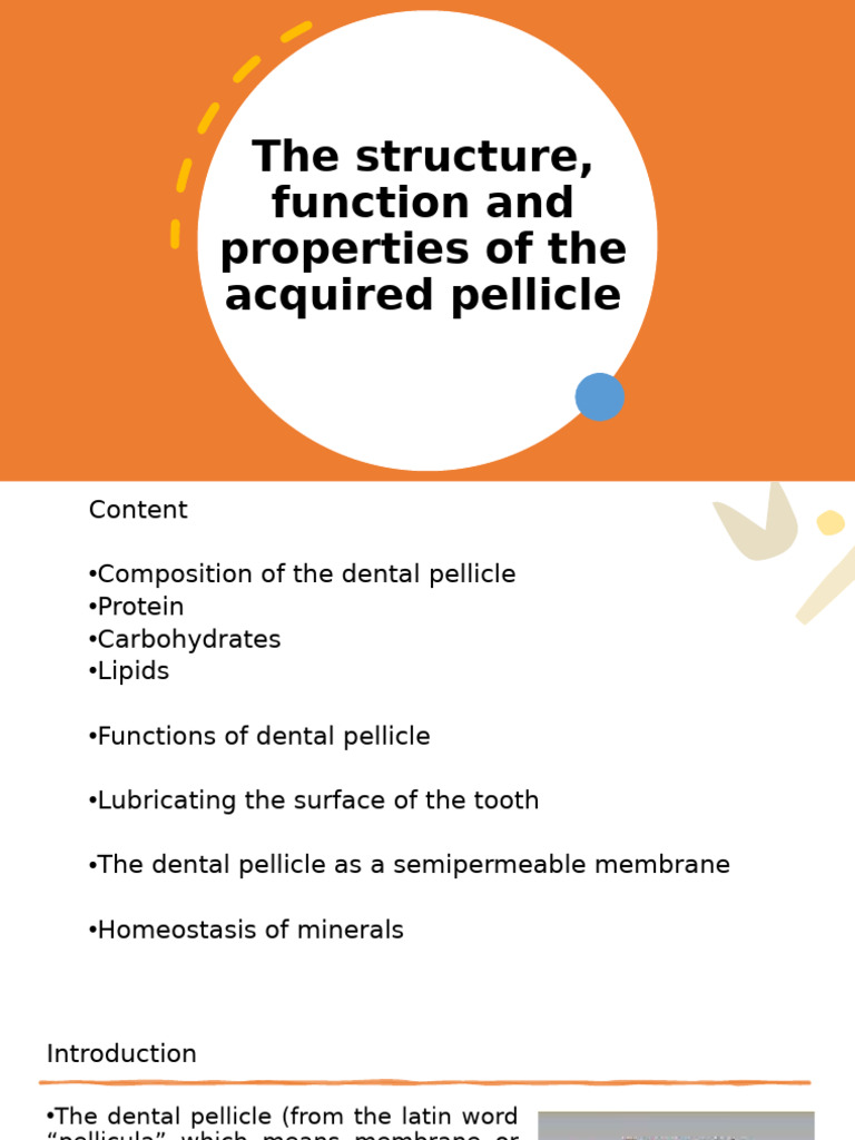 Structure, Function and Properties of The Acquired Pellicle | PDF ...