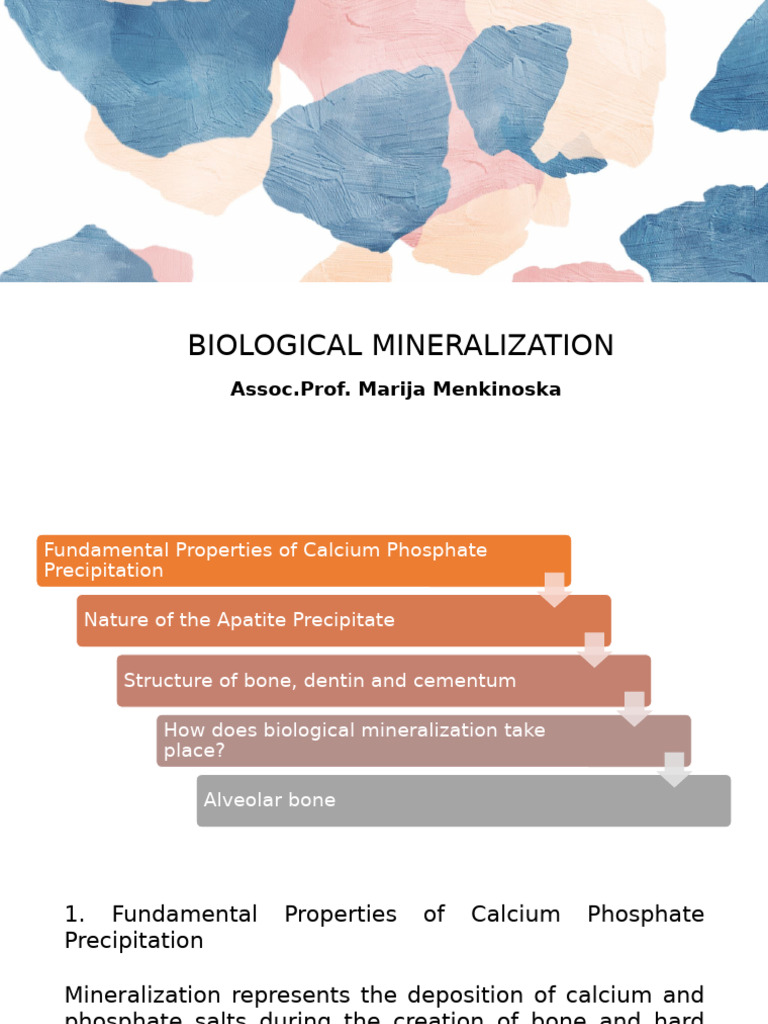 Biological Mineralization of Bone and Dentin | PDF | Bone | Osteoblast