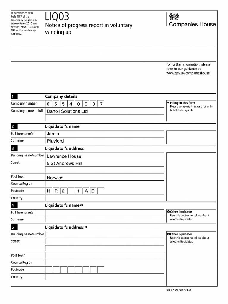 Danoli Solutions LTD - Liquidators Interim Report September 2024 | PDF
