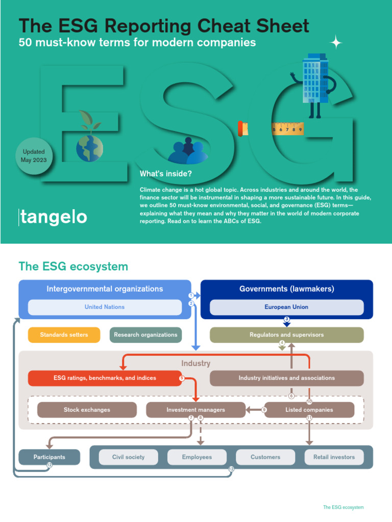The ESG Reporting Cheat Sheet 1734855463 | PDF | Greenhouse Gas | Climate Change