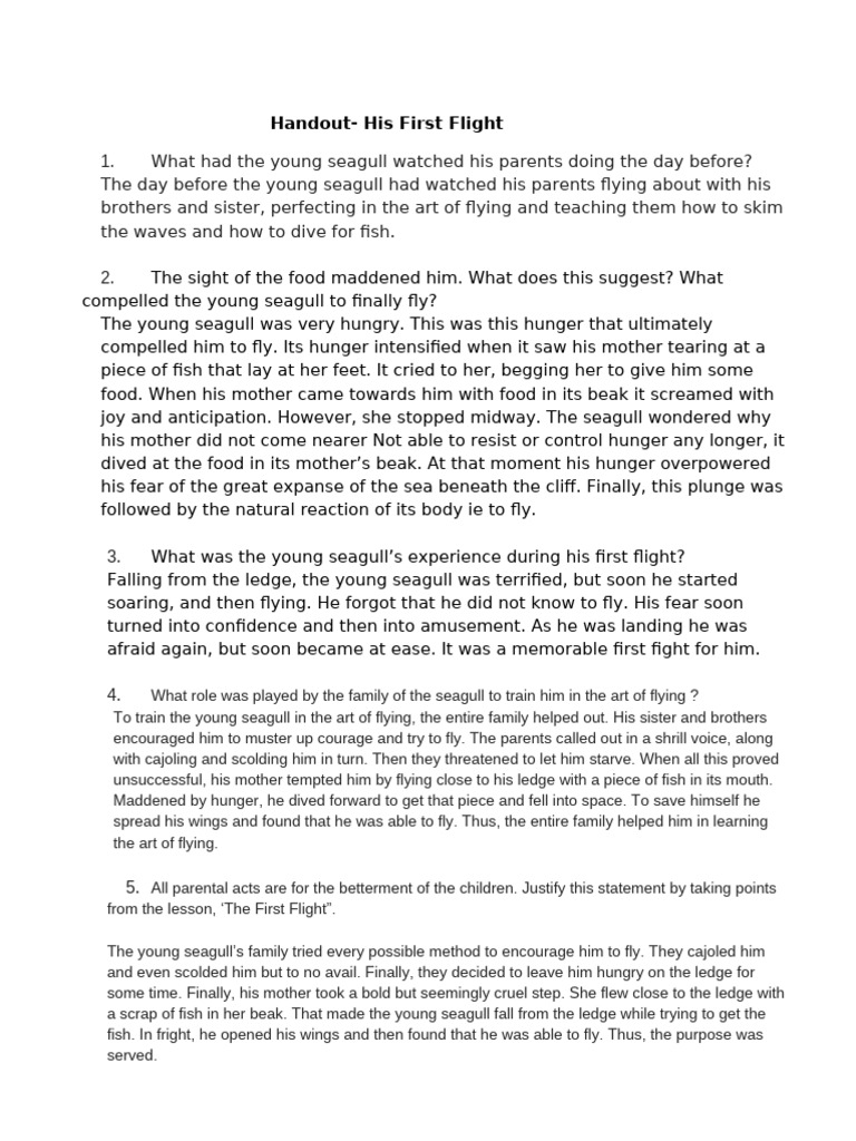 Young Seagull's First Flight | PDF