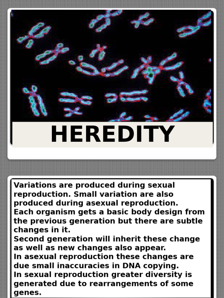 Heredity and Variation | PDF | Dominance (Genetics) | Heredity