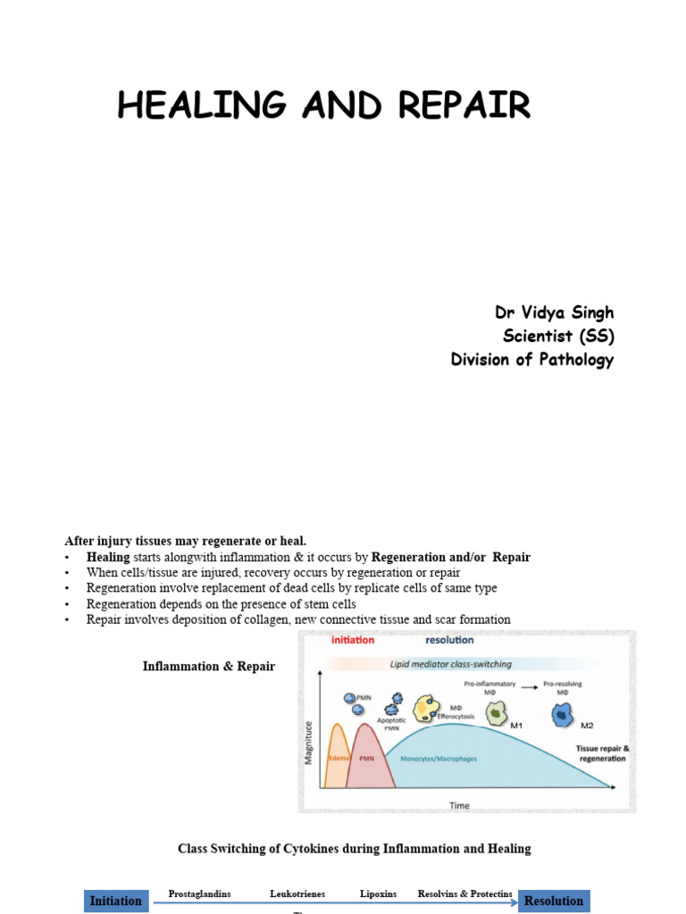 Tissue Healing and Repair Mechanisms | PDF | Wound Healing | Inflammation