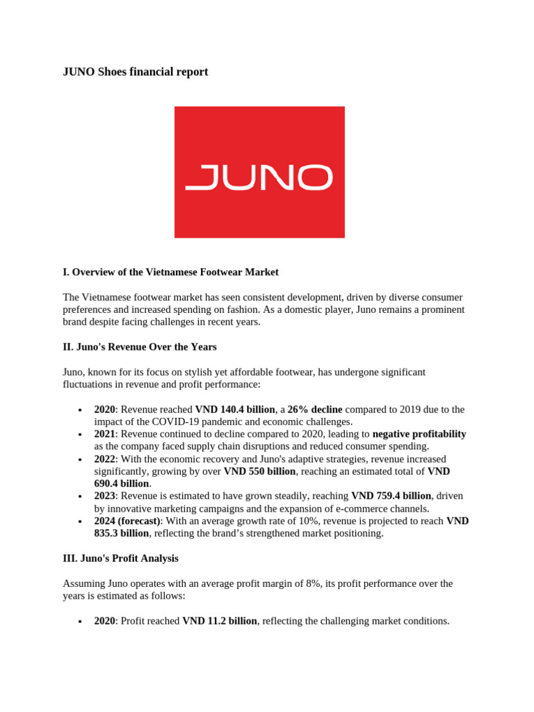 Report On The Juno Shoes | PDF | Profit (Economics) | Brand